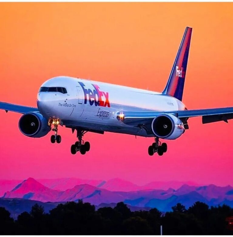 Courier Service Fedex » TDSMSDS